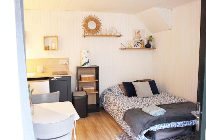 Studio Cosy Hyper Centre Calme - Roanne