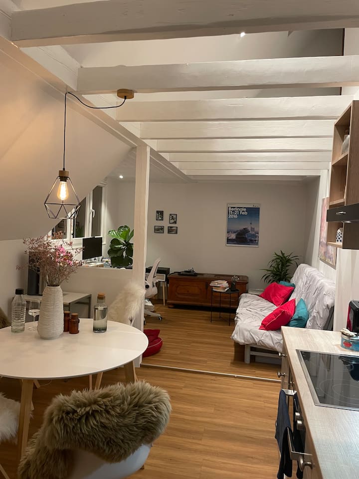 2-zi.- Apartment Villenviertel - Bonn