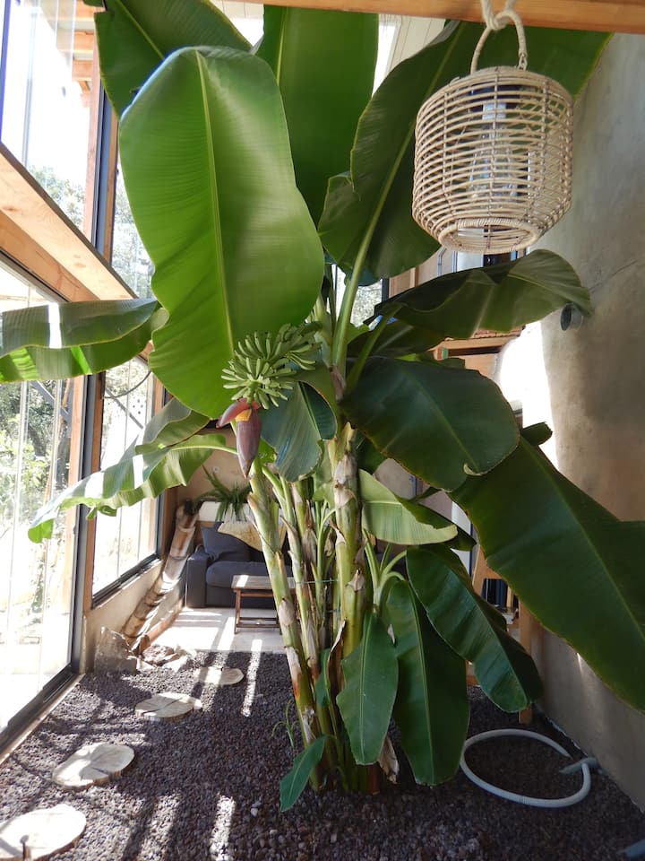 Chambres D'hôte Bioclimatique - Fréjus