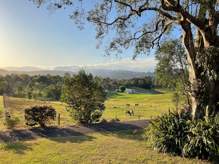 Brush Box Retreat - Murwillumbah