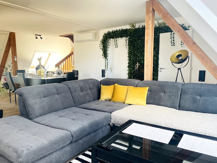 Penthouse 200m2 Centre-ville - Colmar