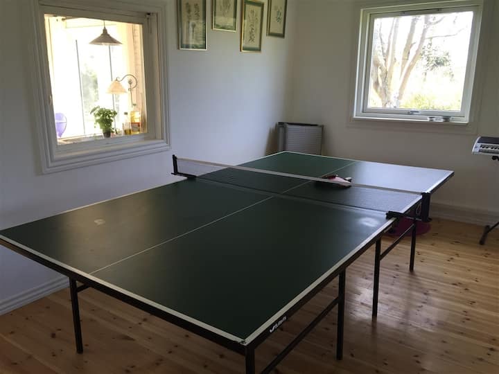 Fireplace And Table Tennis, Incl. 20 Kwh Per Night - Danemark