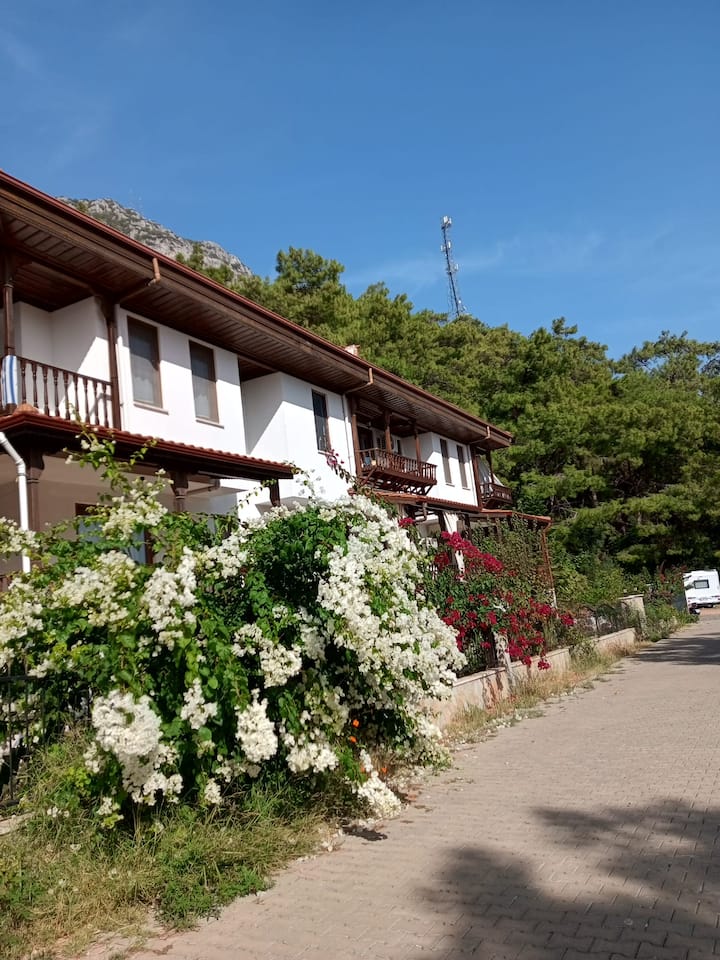 2+1 Dubleks Teraslı Daire - Akyaka