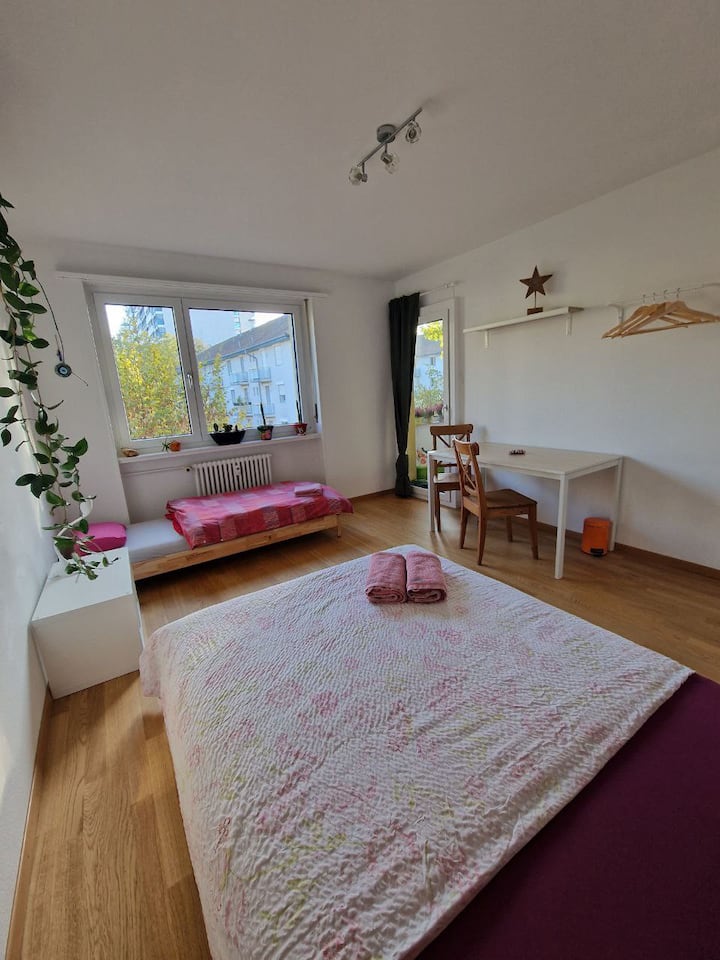 Bright & Cozy Apartment-central - Basel