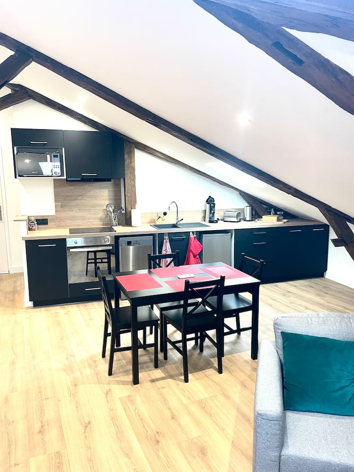 Bel Appartement Pour 4 Pers, Centre De Cahors - ibis Cahors
