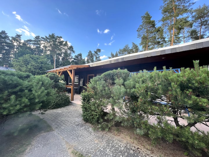 Möwe - Feriensiedlung Kiefernhain - Krakow am See