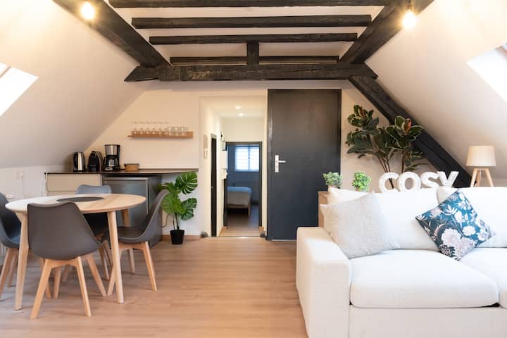 Magnifique 2 Pièces Proche Du Centre De Strasbourg - Strasbourg