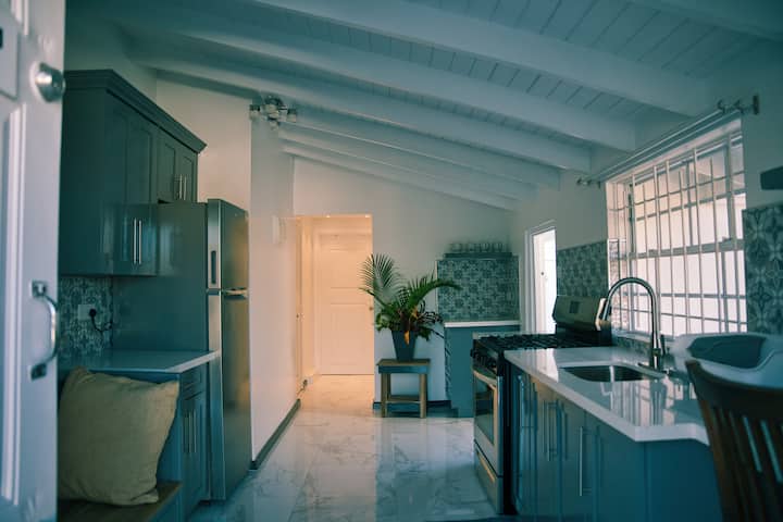 Reduit's Oasis 1 - 聖露西亞