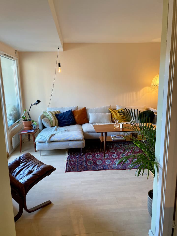 Central And Idyllic Apartment - Oslo