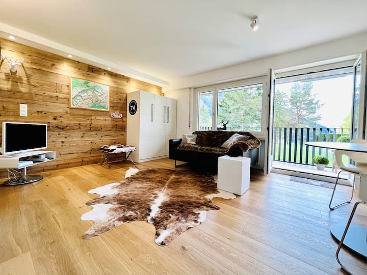Chalet-studio Europe 7 - Kandersteg