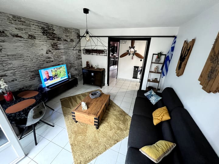 Appartement F3 Centre De Roanne - Roanne