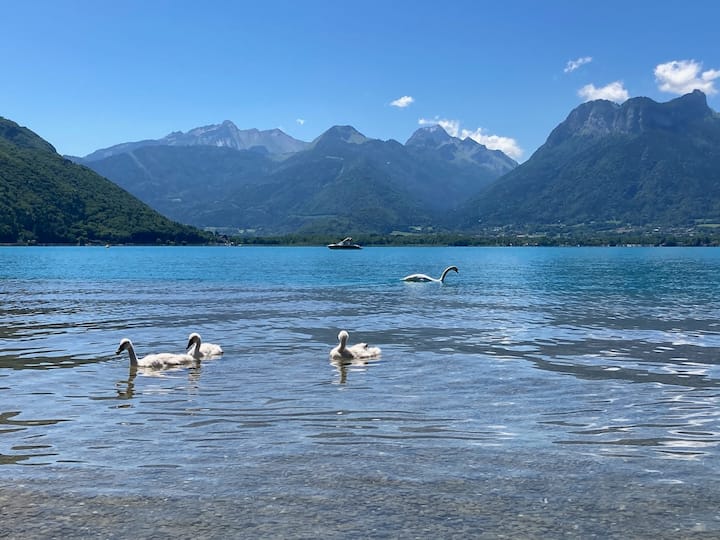 Chalet Spacieux 8 Personnes- Au Calme Nature- - Faverges