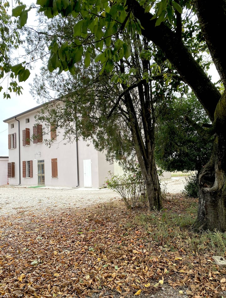 Alloggio Corte Medaglie D'oro - Mirandola