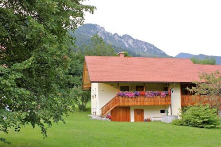 Alpine House Rose - Toni - Mojstrana