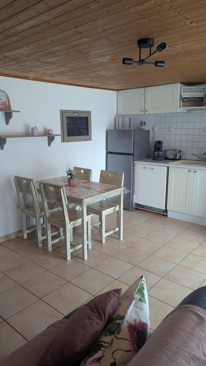 Appartement Chaleureux Avec Vue Montagne - Groisy - Lac des Dronières