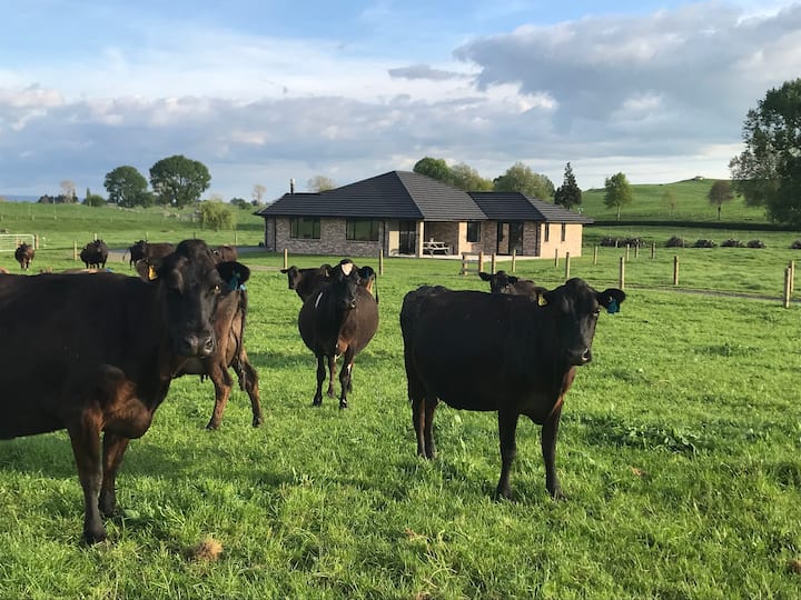 Willow View - Matamata