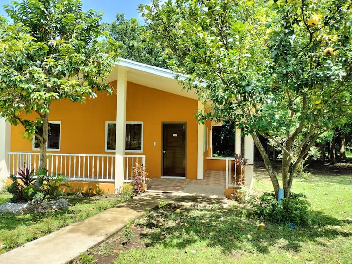 Patience House - Dasmariñas