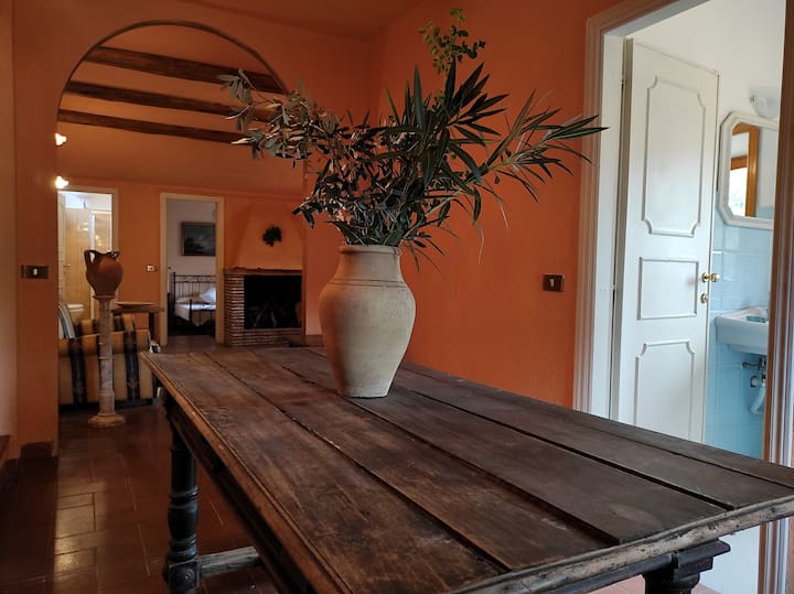 Rustico Appartamento In Tenuta Agricola - Umbria - Orte