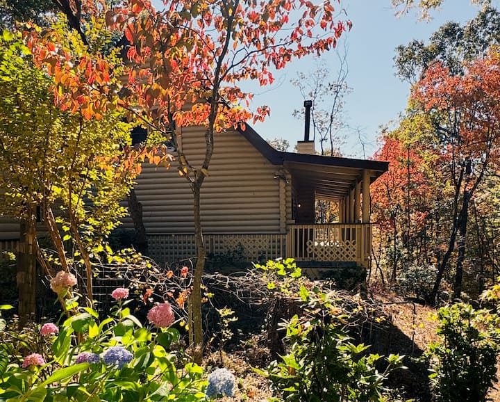 Cozy Cabin | 2 King Suites| Sleeps 10- New Hot Tub - Jasper, GA
