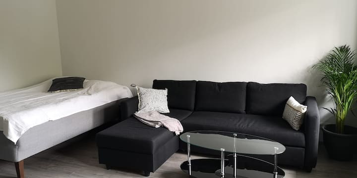 Cosy Studio Near By Airport! - Vantaa