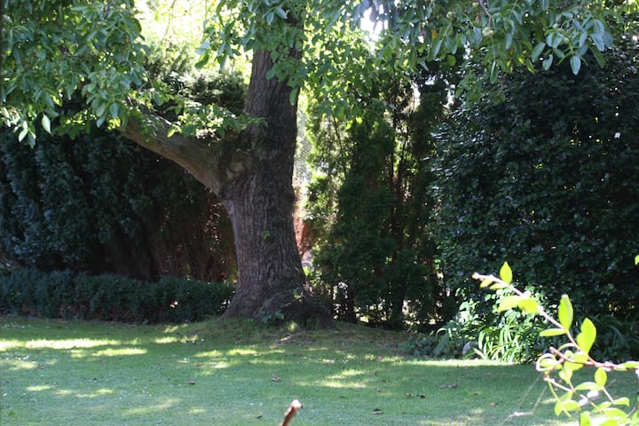Walnut Grove Lodge - 
