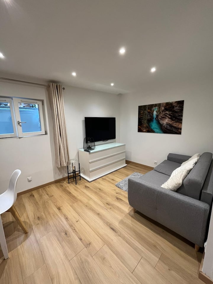 Perle D'evian - Logement Central - Évian-les-Bains