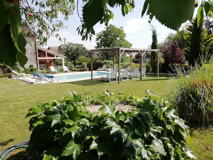 "Un  Petit Bonheur" En  Bourgogne - Tournus