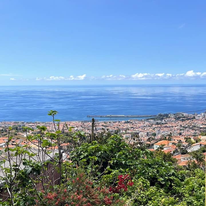 Casa D'avó Filó - Funchal
