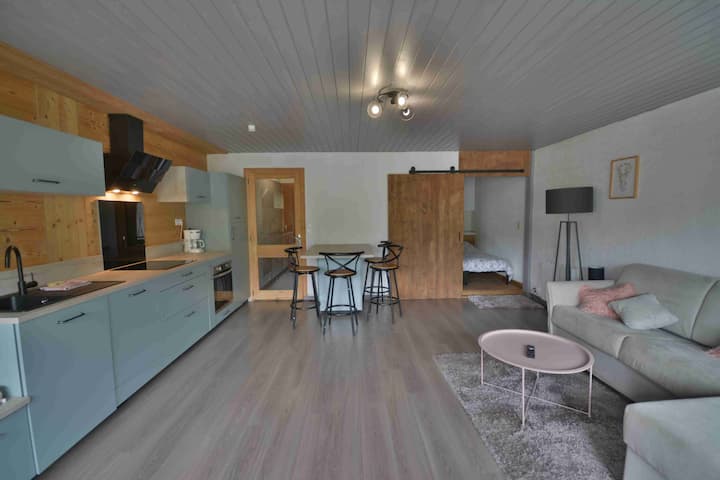 Superbe Studio Idéalement Placé - Morzine