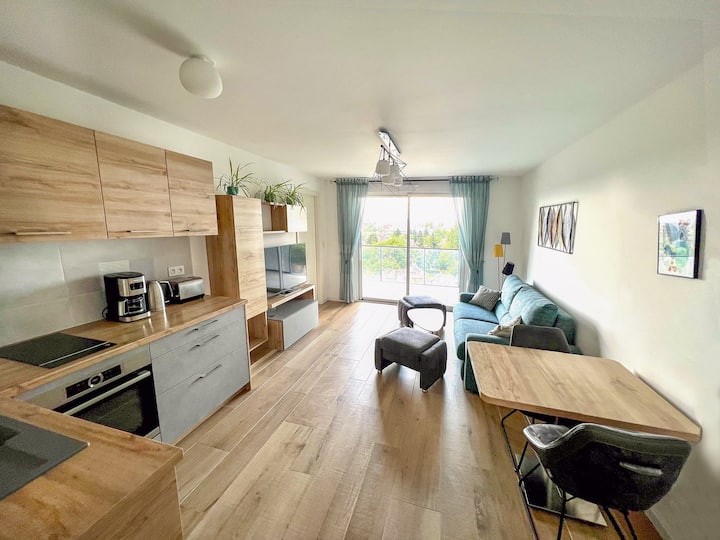 À Côté Du Parlement Européen, T2 Appartement - Robertsau