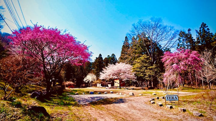 団体可！4,500㎡のサウナ付き自然体験施設で非日常体験を！ - Nikko