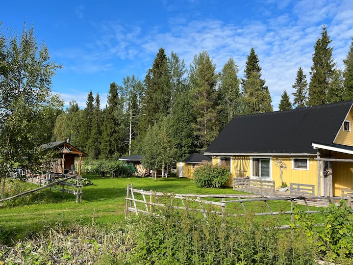 Mökki Ja Ulkosauna, Pyhän Alue - Pelkosenniemi