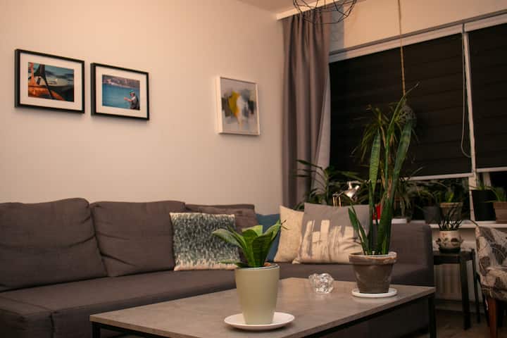 Contemporary Apartment Steps From Reykjavik’s Best - Reikiavik