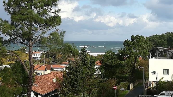 Appartement Vue Mer Proche Plage - サン＝ジャン＝ド＝リュズ