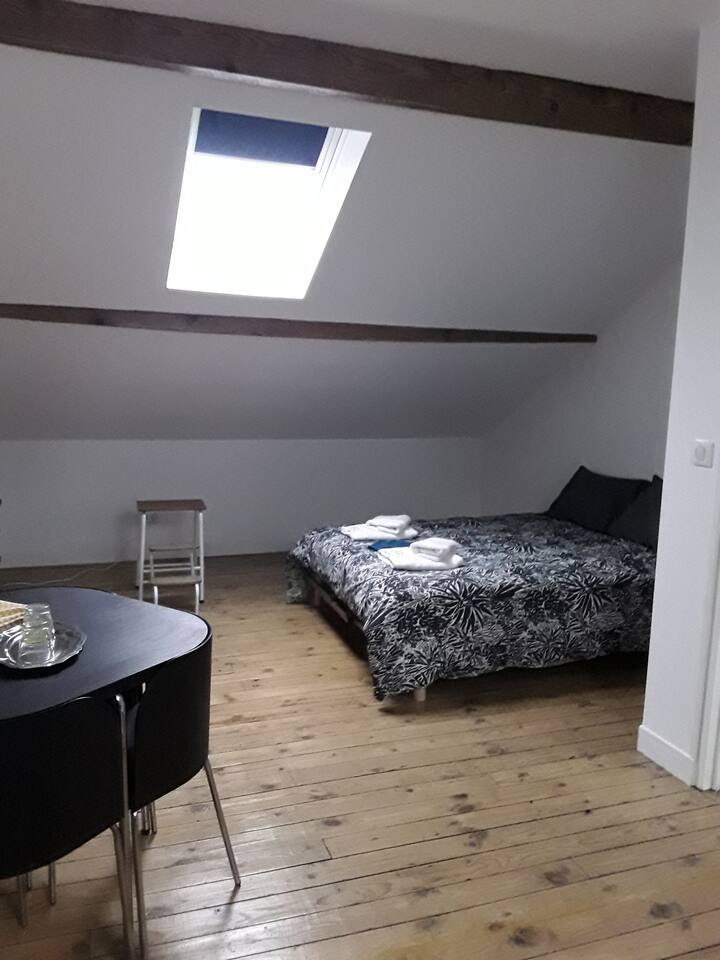 Grande Chambre Chez L'habitant à Proximité Gare - Arras