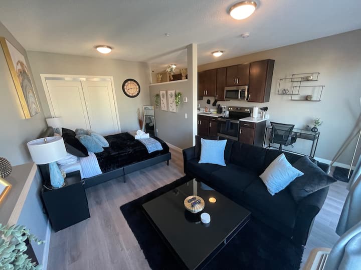 Spacious Studio Apartment - Saint Paul, MN