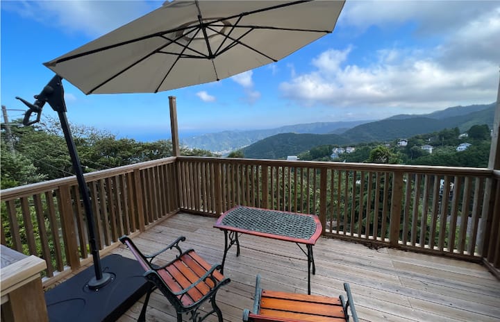 Ocean View /Cottage With Onsen /Bbq Ok/5 Ppl - Atami