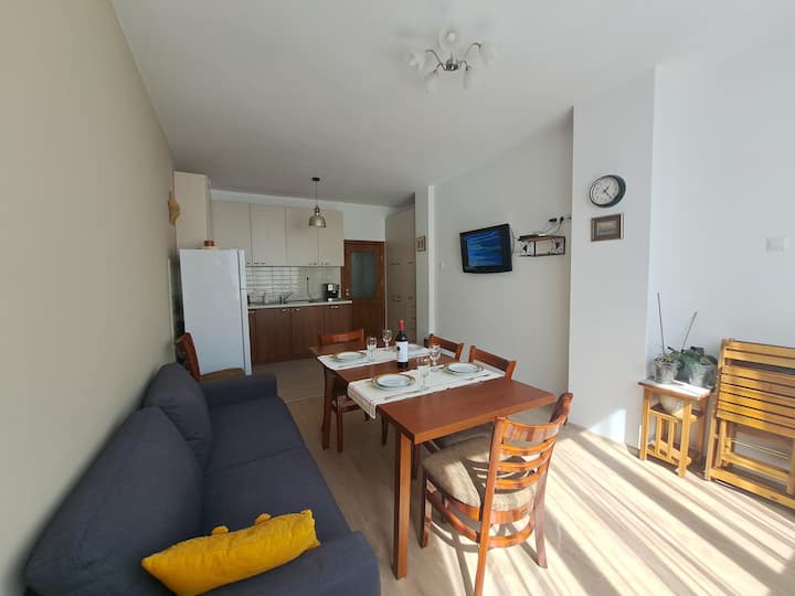 Vasi Apartment - 保加利亞