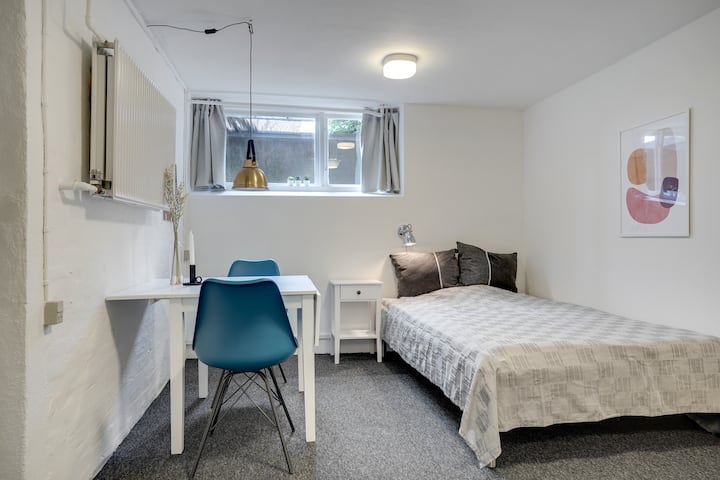 Cosy Small Apt. In Basement - Odense