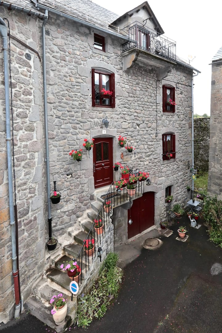 ꧁༺Appart Maison Saint Jean ༻꧂ - Besse-et-Saint-Anastaise