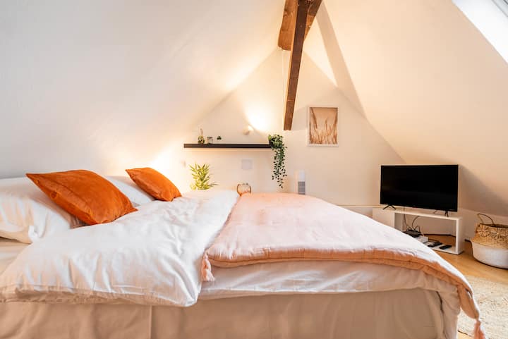 Appartement Vue Imprenable Cathedrale - King Size - Strasbourg