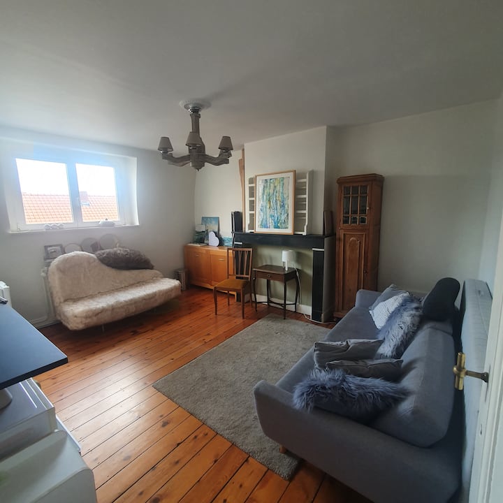 Brussels-style House With Garden - Forest