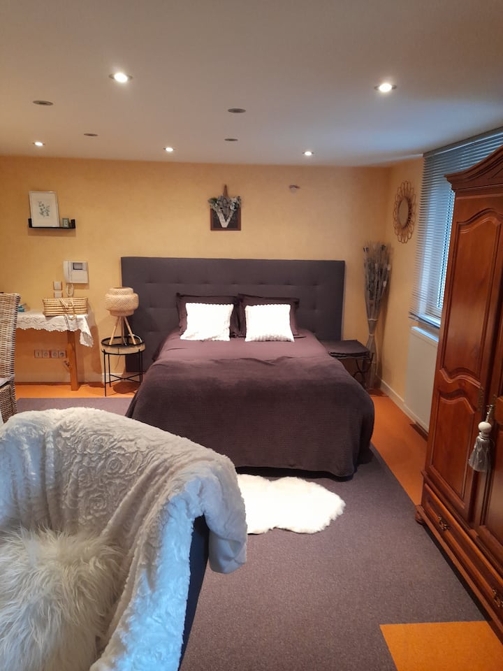 Chambre Avec Un Petit Espace Extérieur Privatif - Ussel