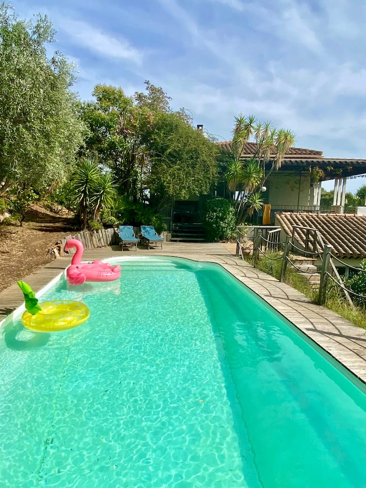 Coconut Viking - Fréjus