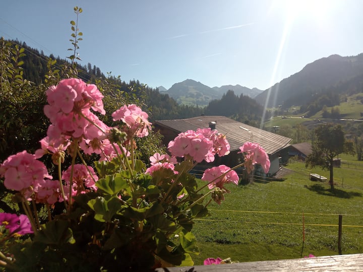 Die Seele Zu Zweit Baumeln Lassen - Zweisimmen