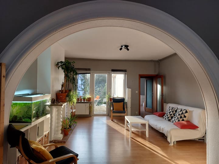 Spacious Cosy Apartment - Ixelles