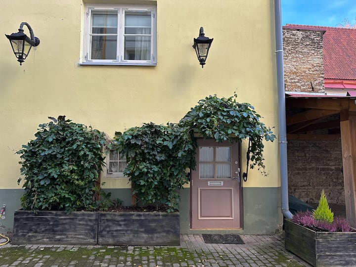 Cozy & Unique Stay In Old Town - Tallinn