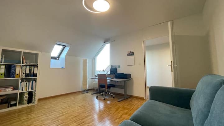 Helles, Geräumiges Appartment - Blotzheim
