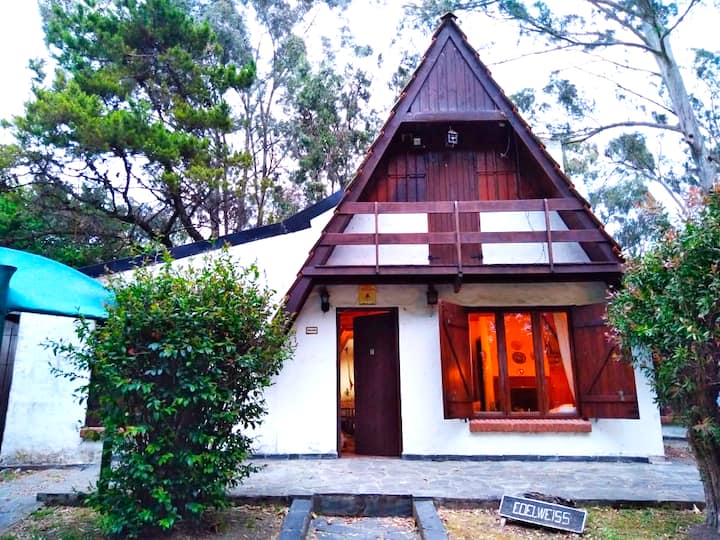 Casa Edelweiss En Bosque Peralta Ramos - Mar del Plata