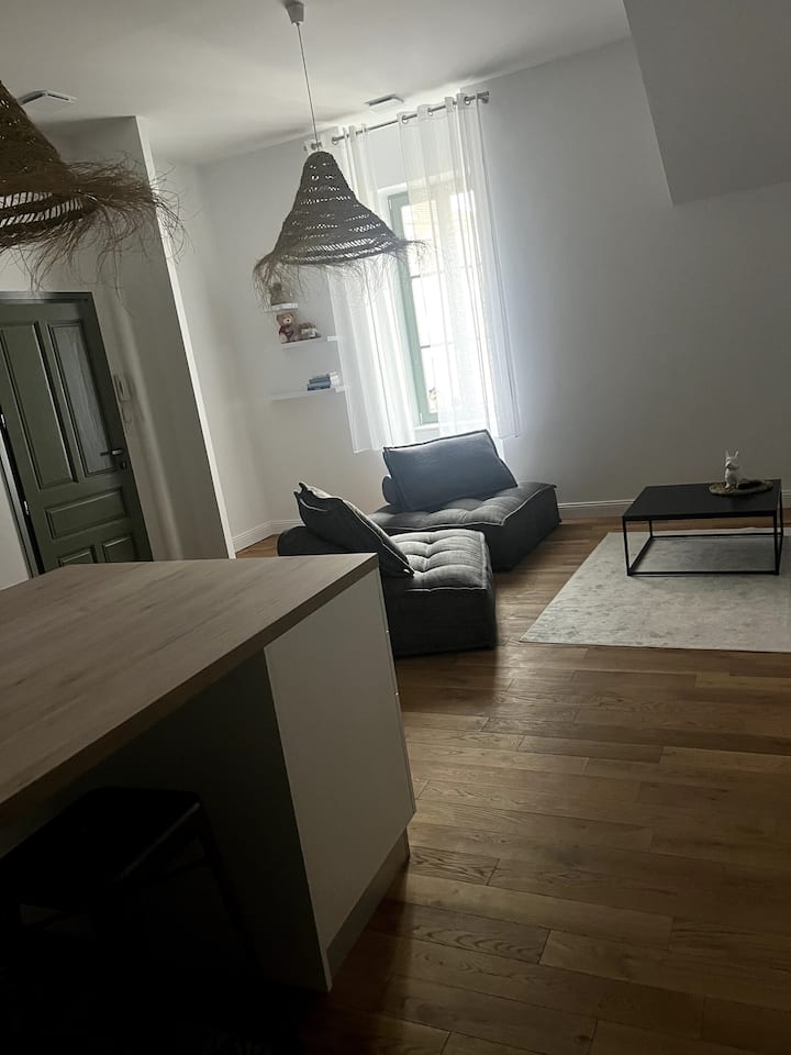 Appt Centre Chalon/saone 123s - Chalon-sur-Saône